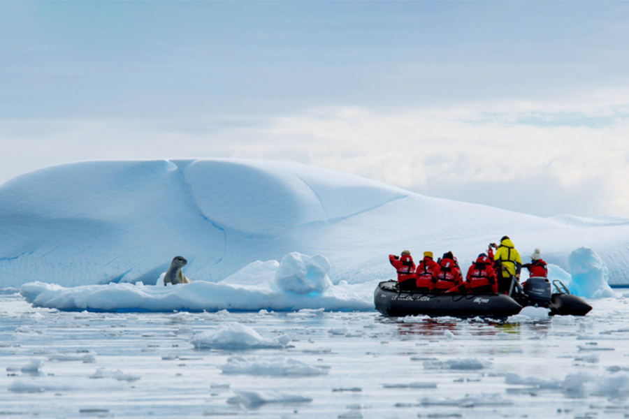 Zodiac cruise antarctica 60 photos - Astrologytoyou.com