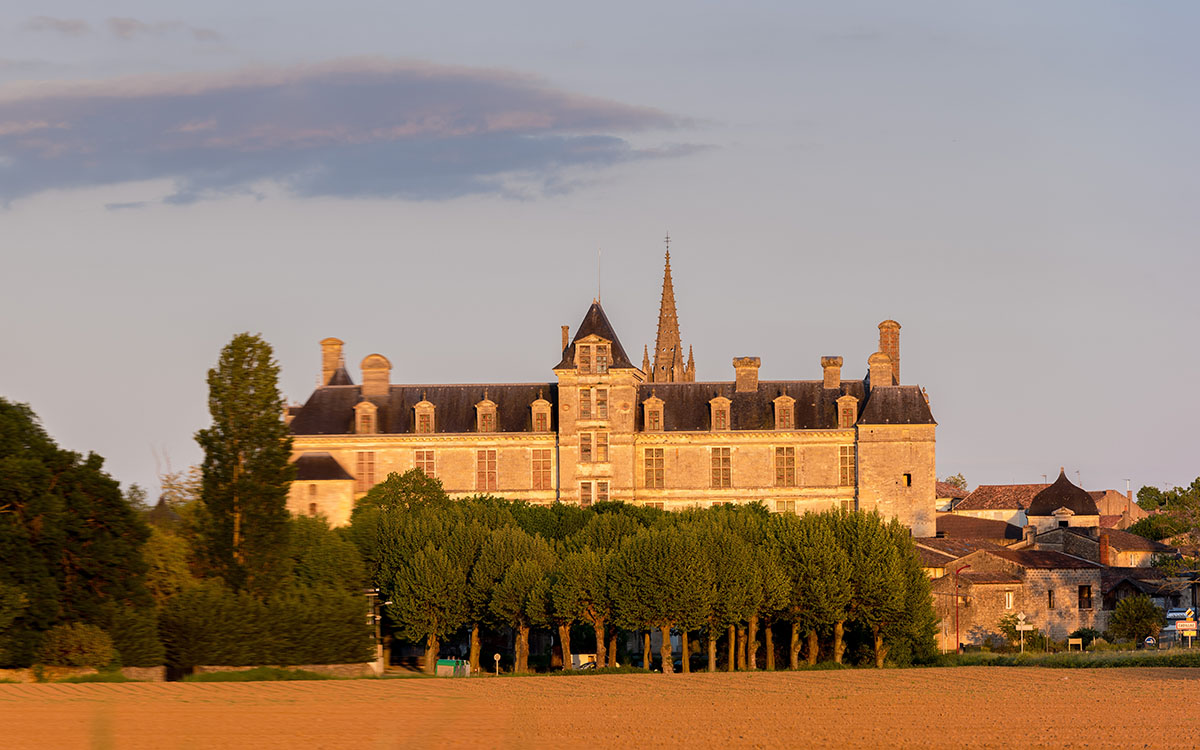 Panache Cruises - Destination